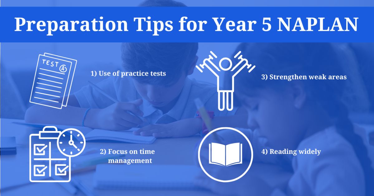 NAPLAN Year 5 Guide for 2025: A Complete Overview