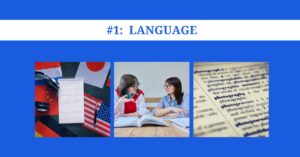 Year 11 English Standard Study Guide